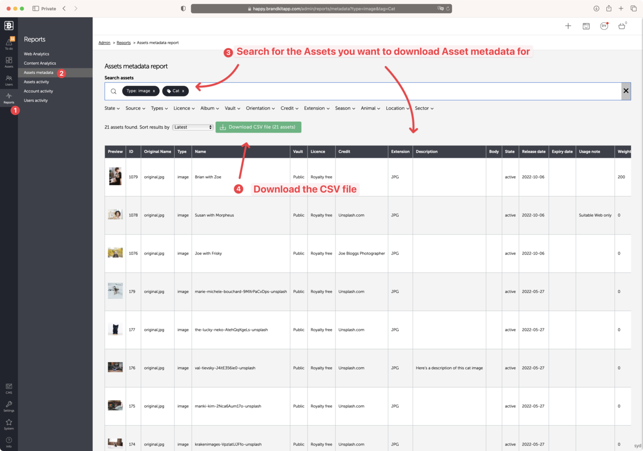 Brandkit Hq How To Update Assets Metadata By Importing A Metadata Csv