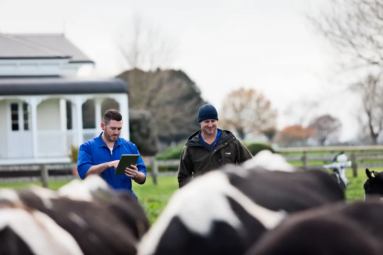 Farmhand and farmer assess the dairy herd
