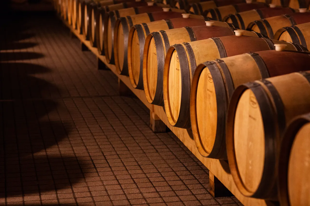A row of wooden barrels fermenting wine
