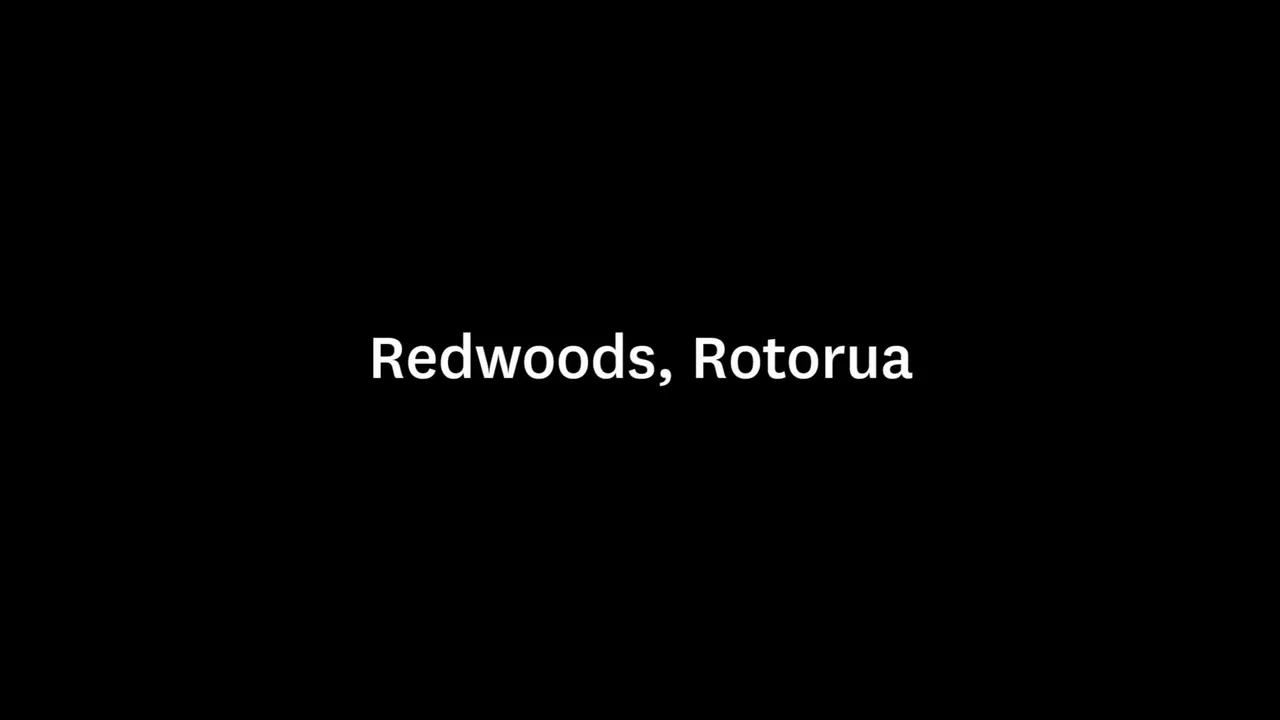Redwoods, Rotorua