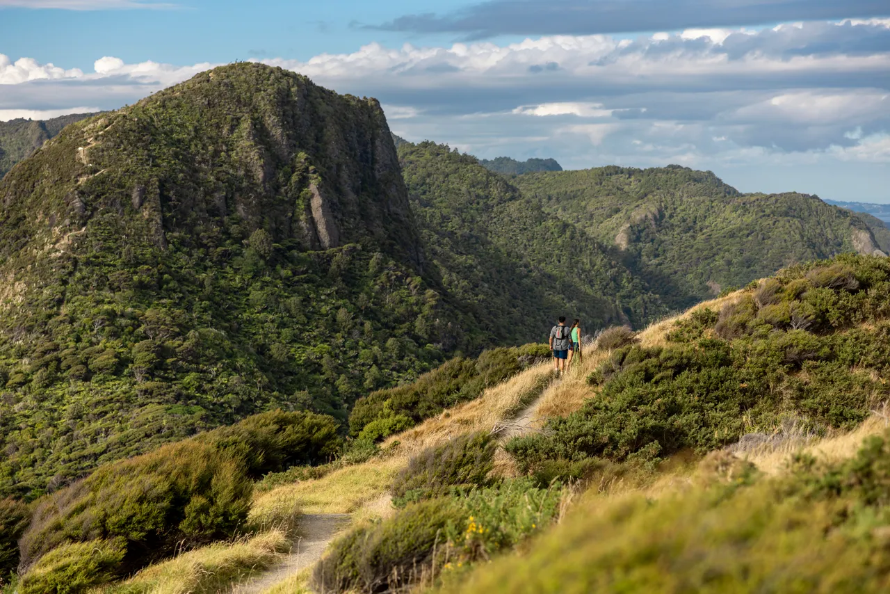 Waitākere Ranges, Auckland