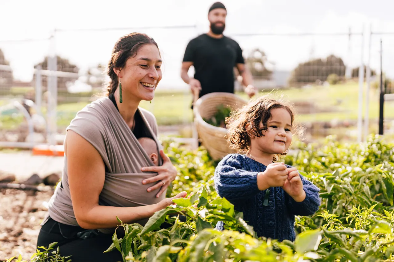 Family pick crops together