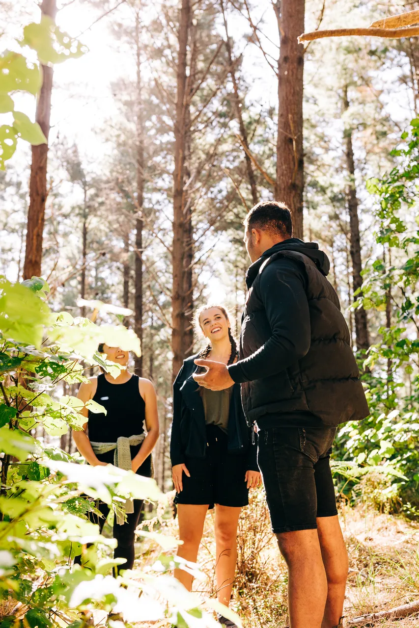 Group take a look at the kawakawa tree