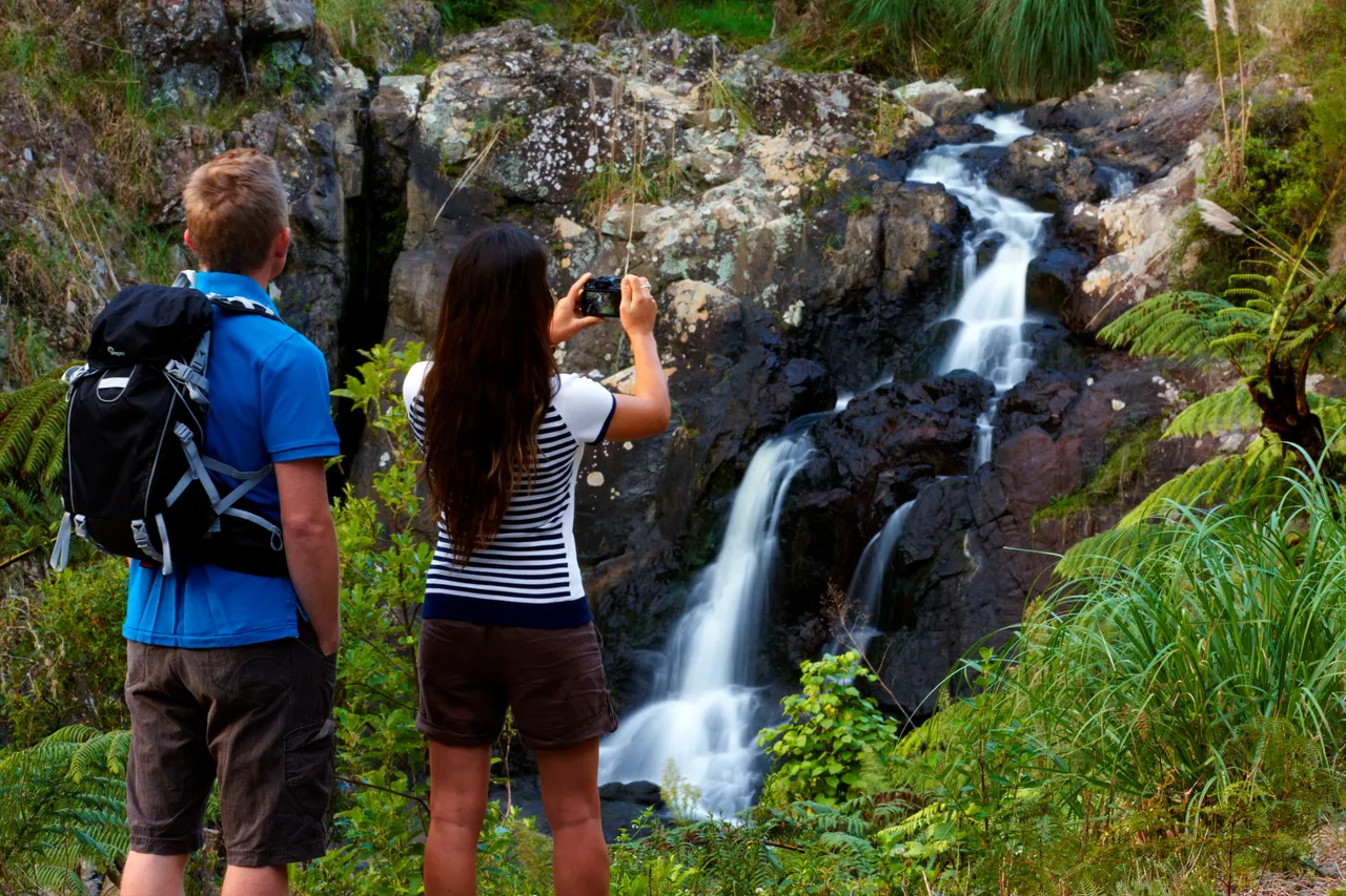 Walking in the Hunua Ranges