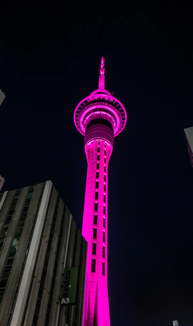 Pink Skytower Lights