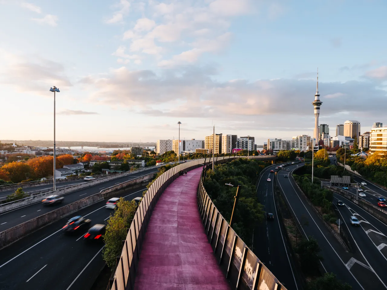 Auckland city view from pink cycle path