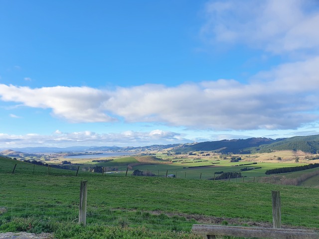 CluthaNZ Visual Library