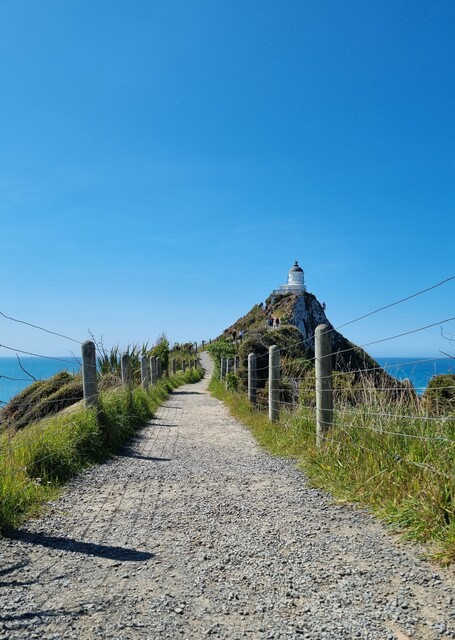 CluthaNZ Visual Library