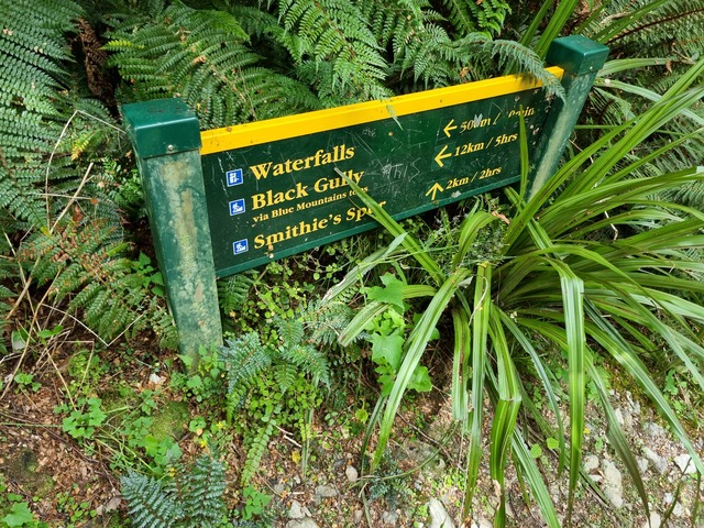 CluthaNZ Visual Library