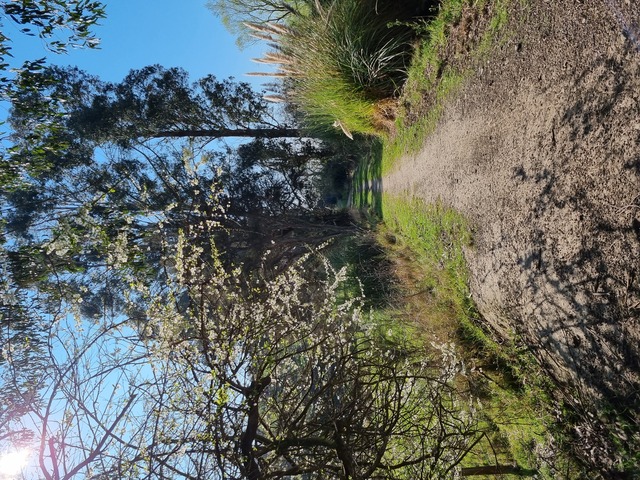 CluthaNZ Visual Library