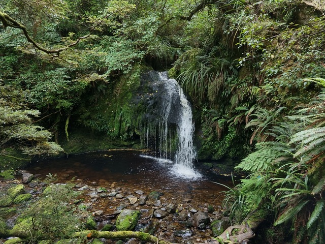 CluthaNZ Visual Library