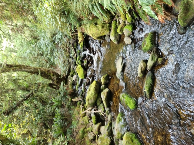 CluthaNZ Visual Library