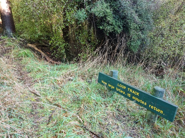 CluthaNZ Visual Library