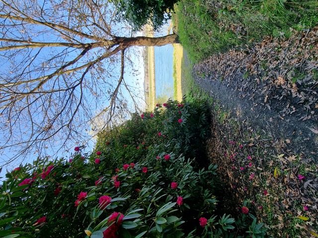 CluthaNZ Visual Library