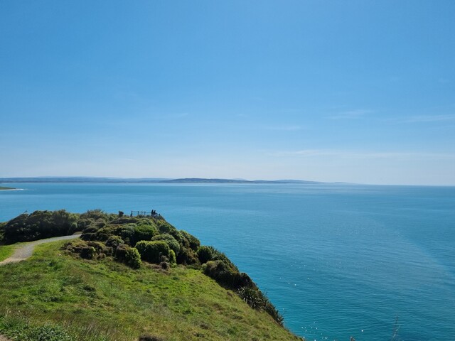 CluthaNZ Visual Library