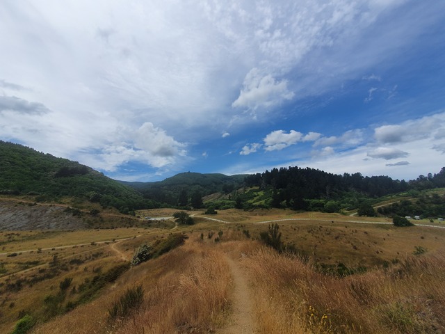 CluthaNZ Visual Library