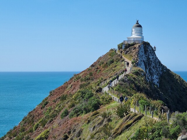 CluthaNZ Visual Library