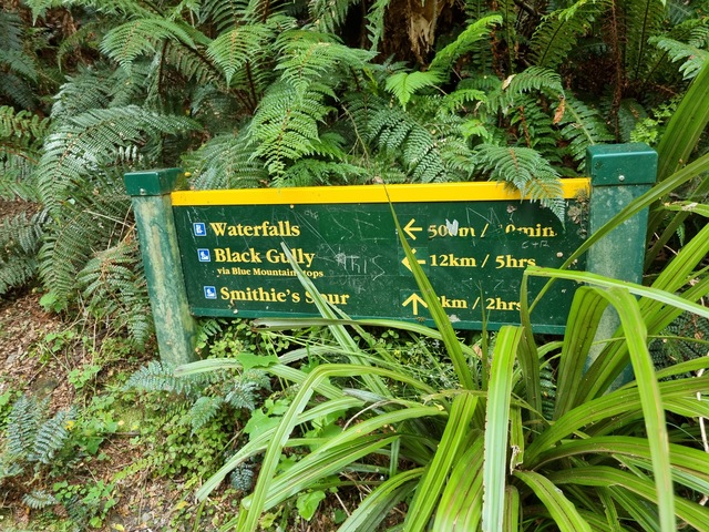 CluthaNZ Visual Library