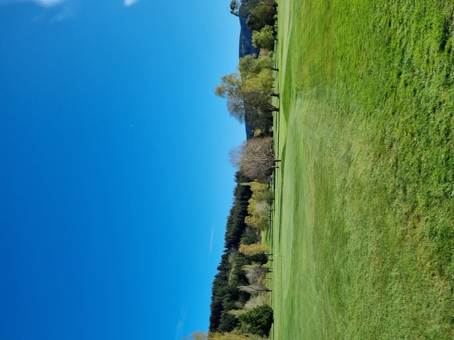 CluthaNZ Visual Library