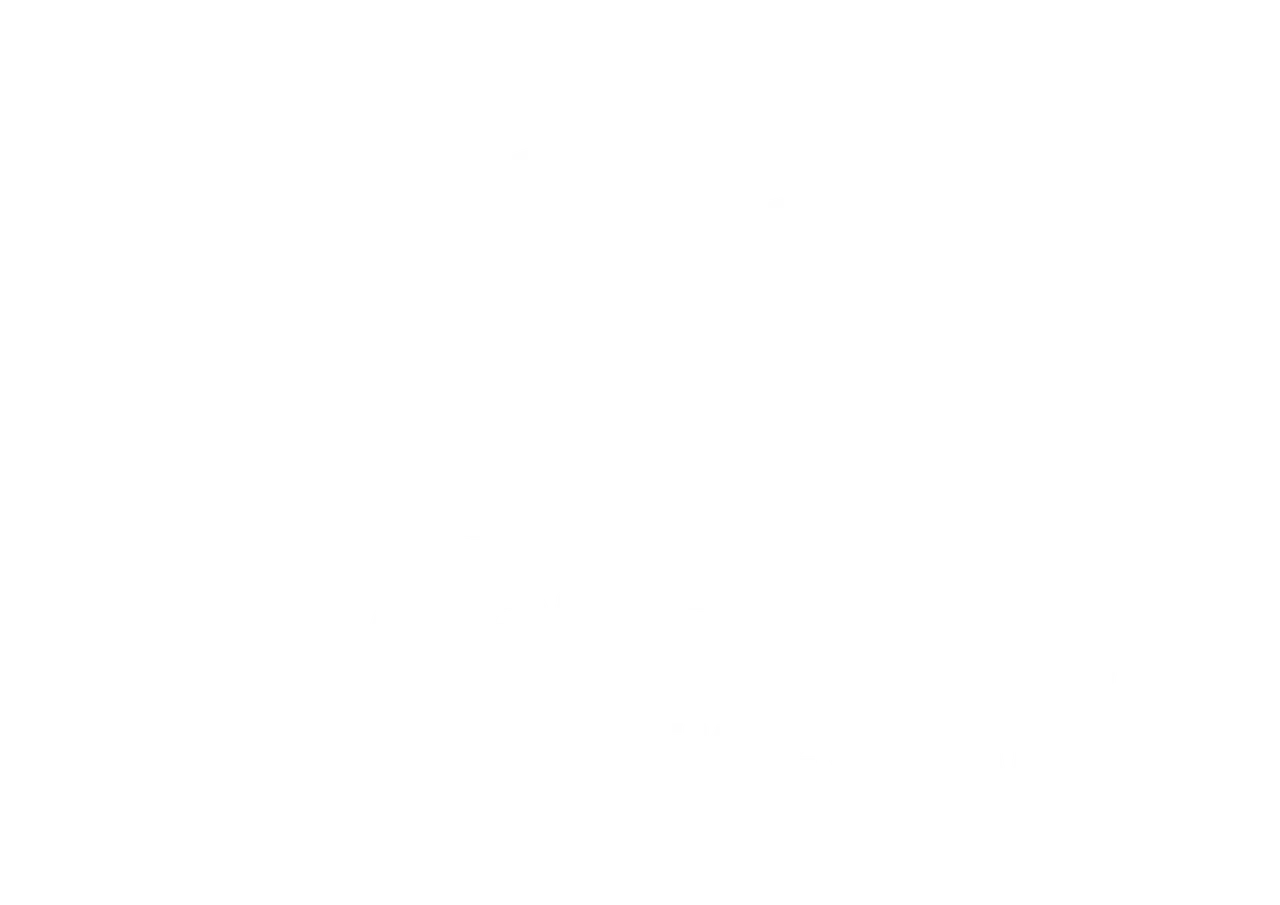 Queenstown Logo - Blue