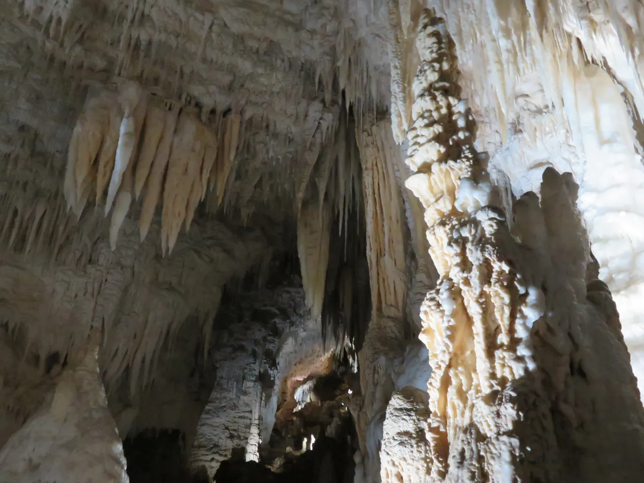 Aranui Cave at Waitomo Caves (21)