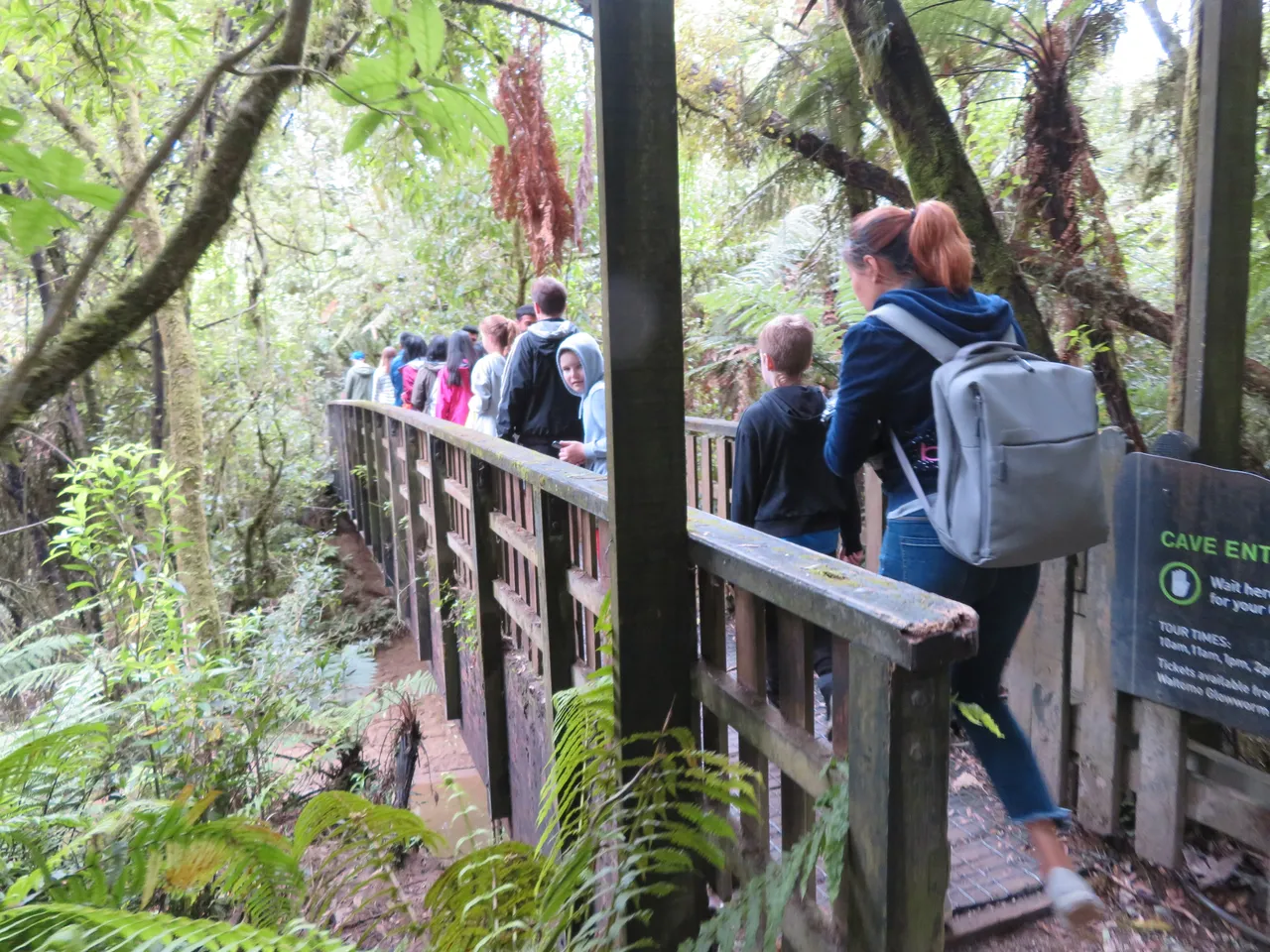 Waitomo area walking track by Aranui Cave, Waitomo Caves, Waitomo area ...