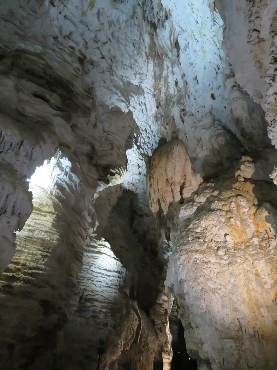 Aranui Cave at Waitomo Caves (15)