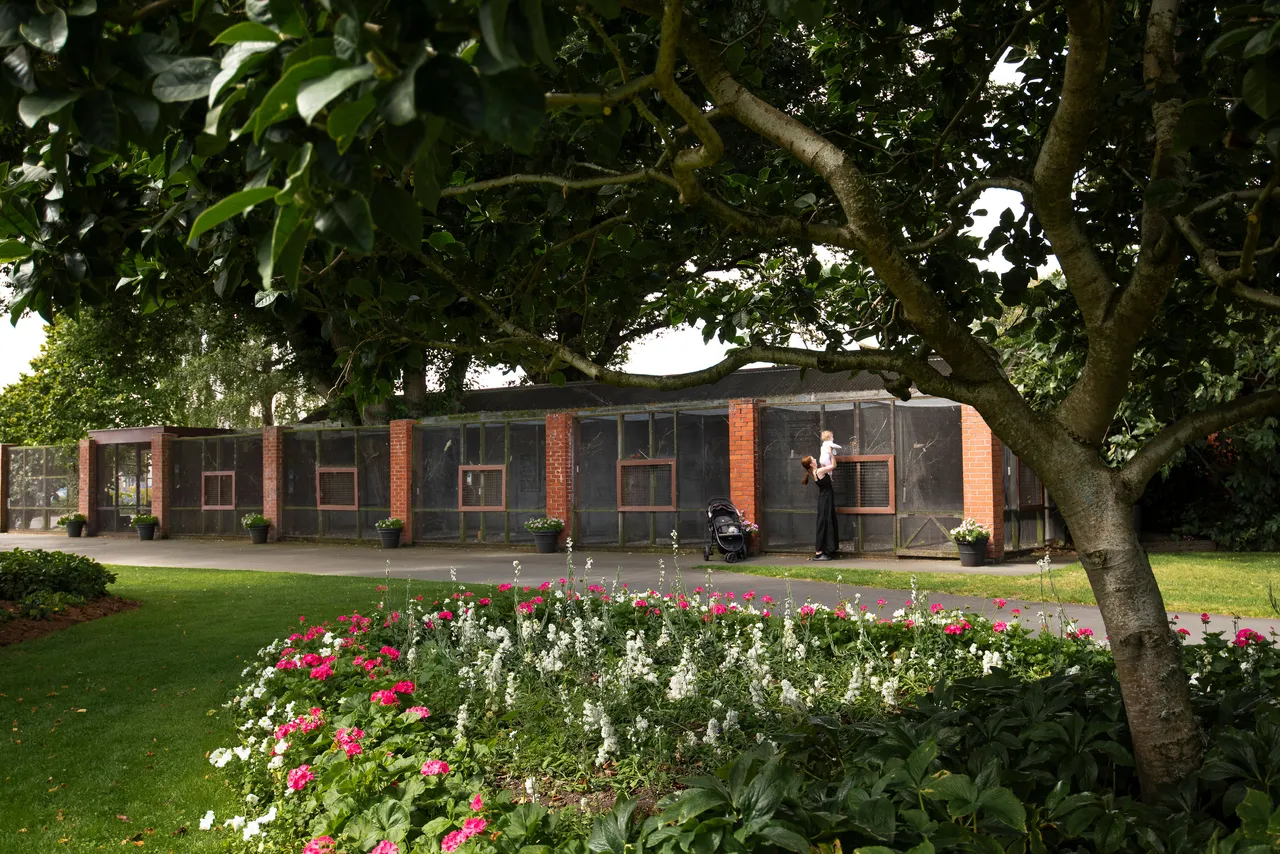 Gore Aviary - Gore Gardens - Gore, 2024