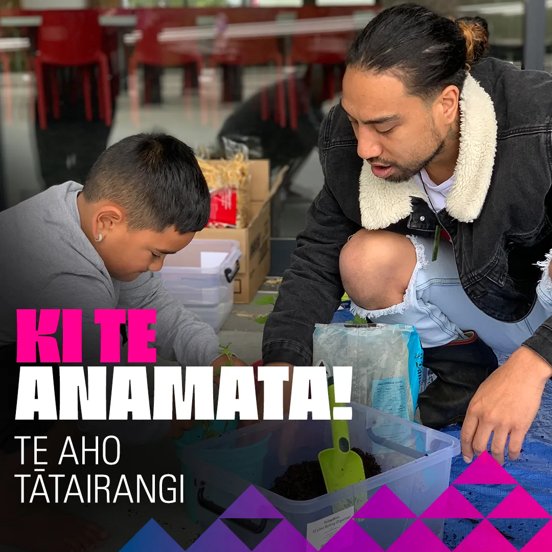 MAS0196-CoHSS-1080x1080-Te Aho Tātairangi