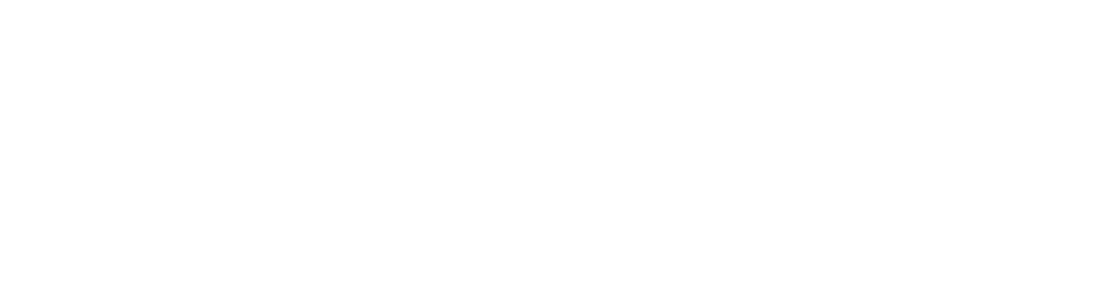 Dunedin NZ Visual Library